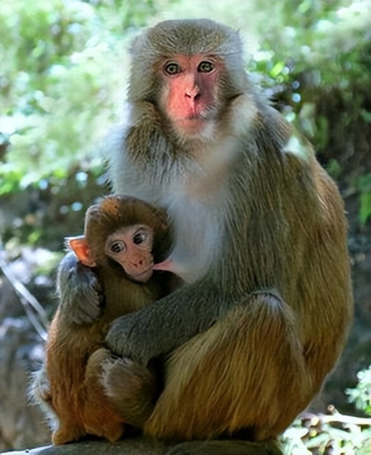 Cultural people scold others, too sharp - iMedia