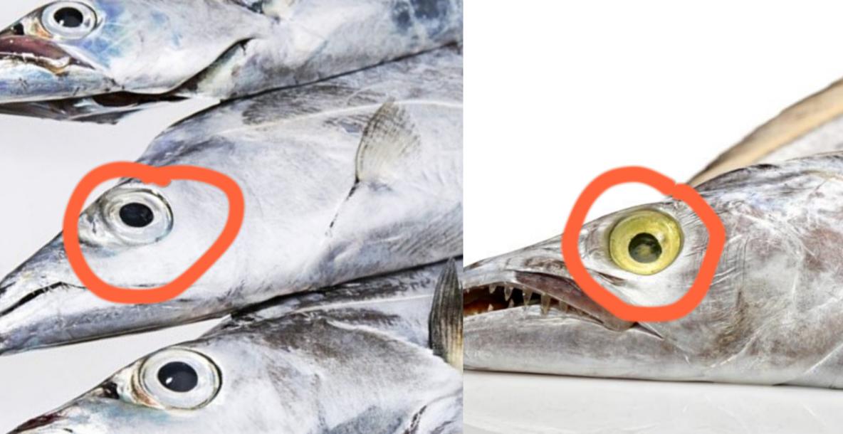 When buying hairtail, you must learn to distinguish between yellow eyes ...