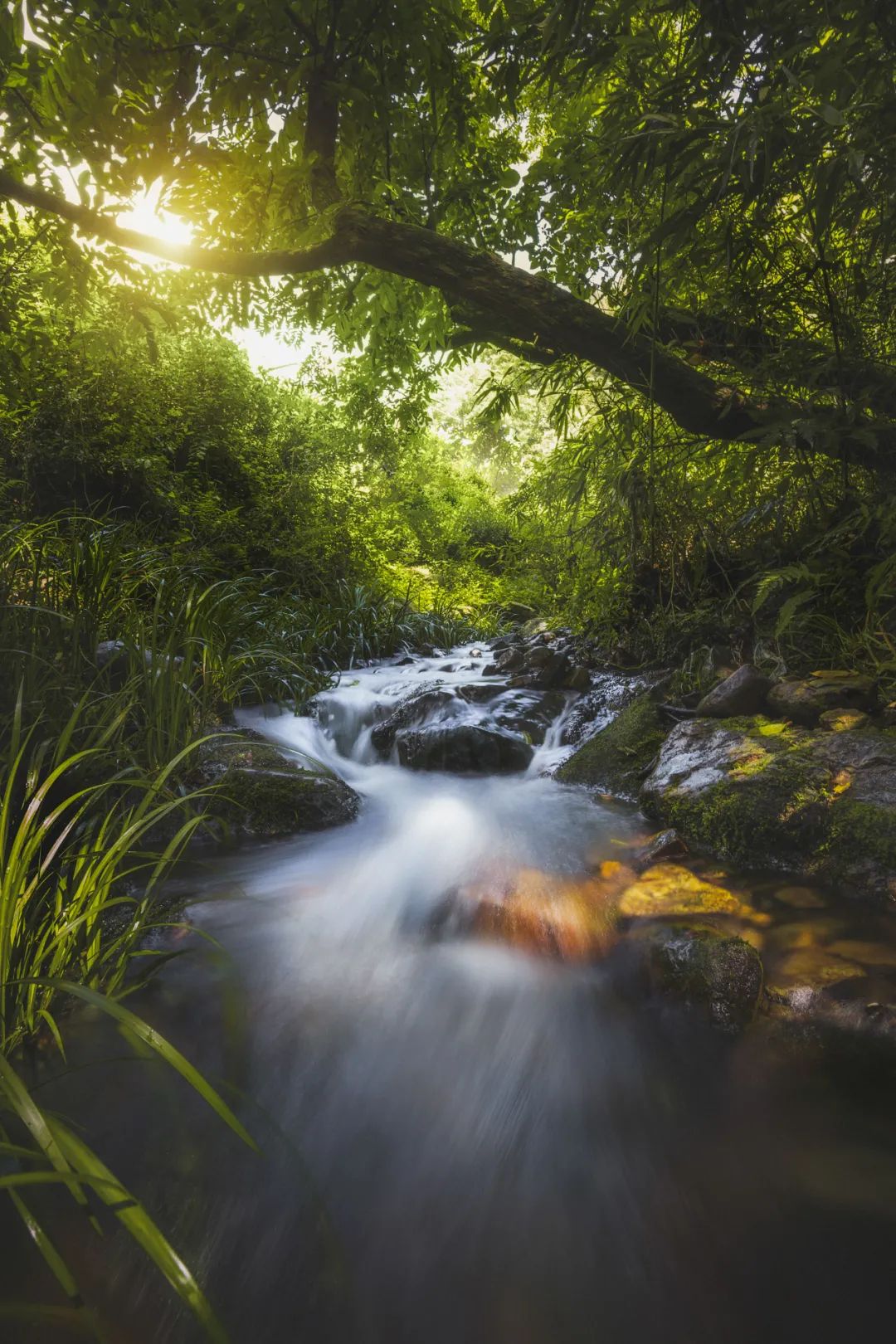 8 unpopular poems that amaze the beauty of life - iNEWS