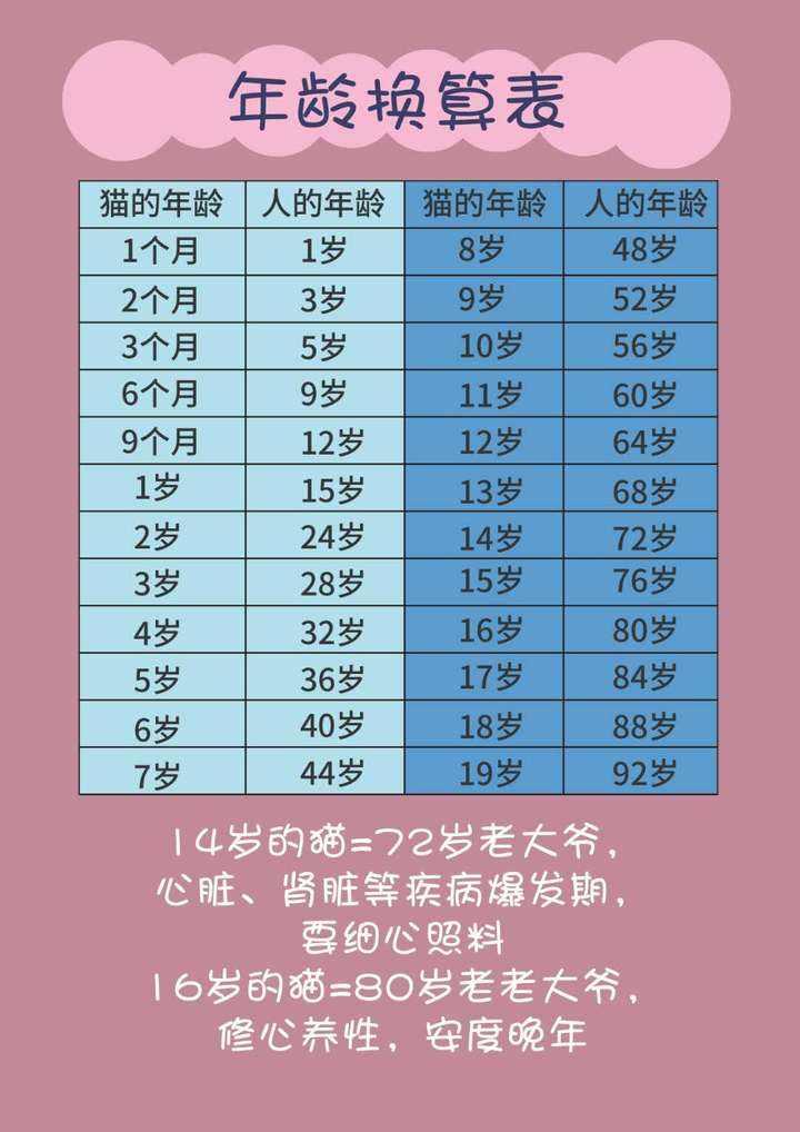 The average life expectancy of 12 common cats, with tips for longevity ...