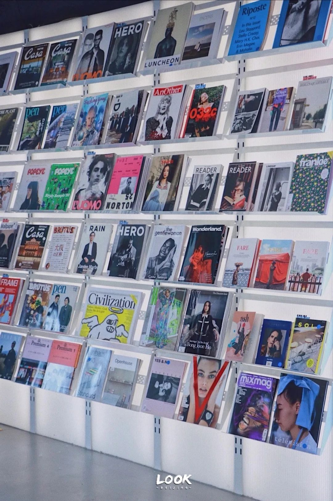 Beijing pet friendly shop · Long wait - iNEWS