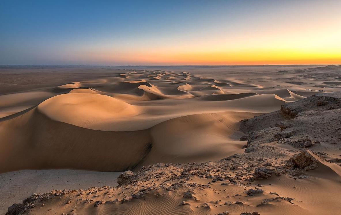Analysis: Wonderful and Mysterious Desert, Desert Ecosystem, Landform ...