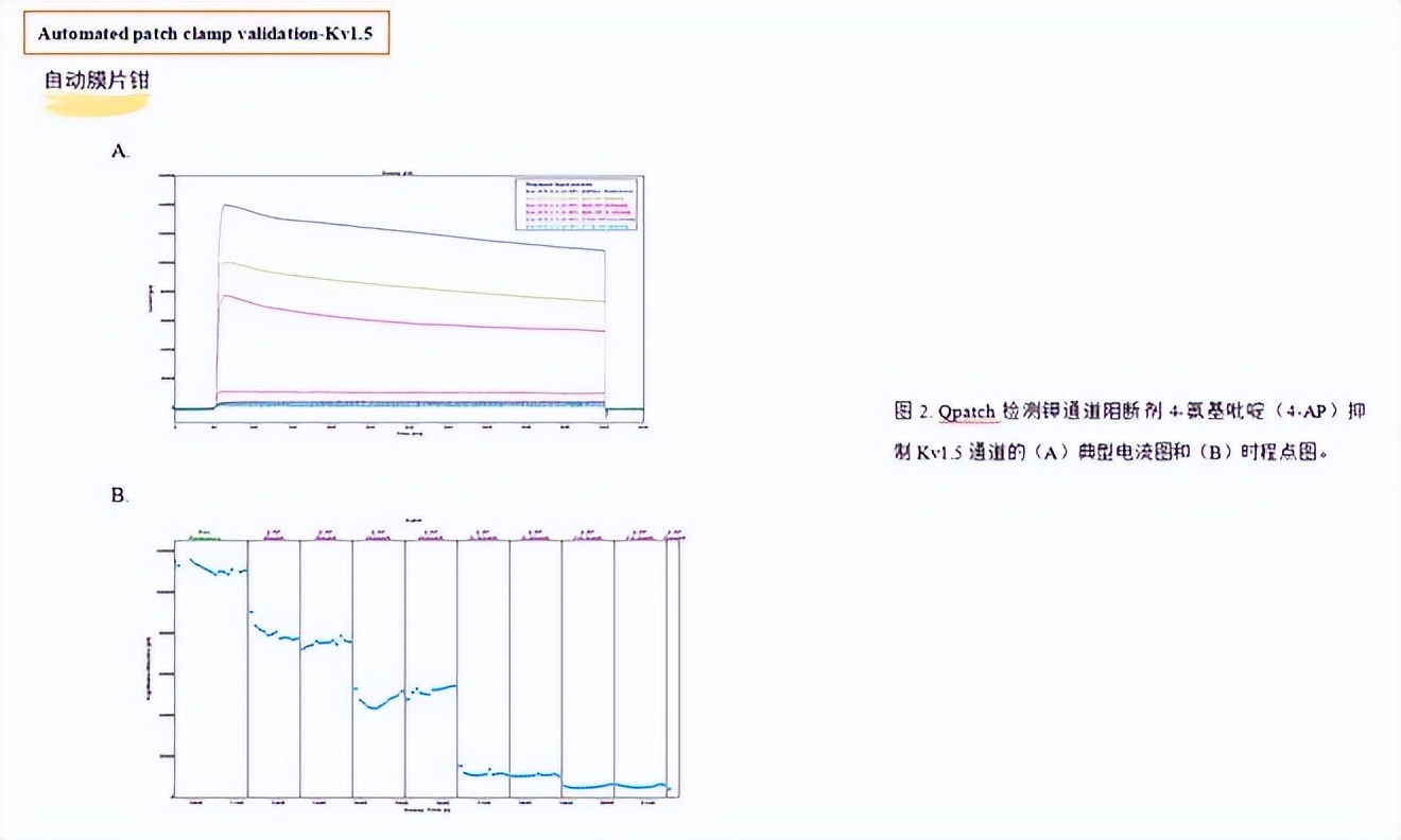 Ion Channel Detection - iNEWS