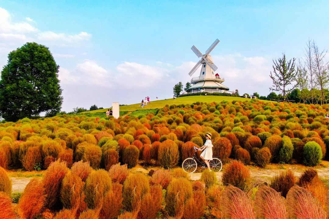 The shooting location of this popular movie is in Chengdu! - iNEWS