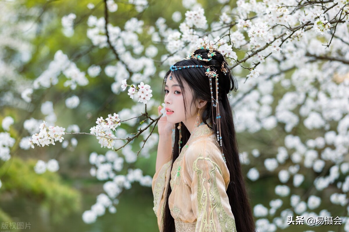 Picture appreciation-beautiful Hanfu under the cherry tree - iNEWS