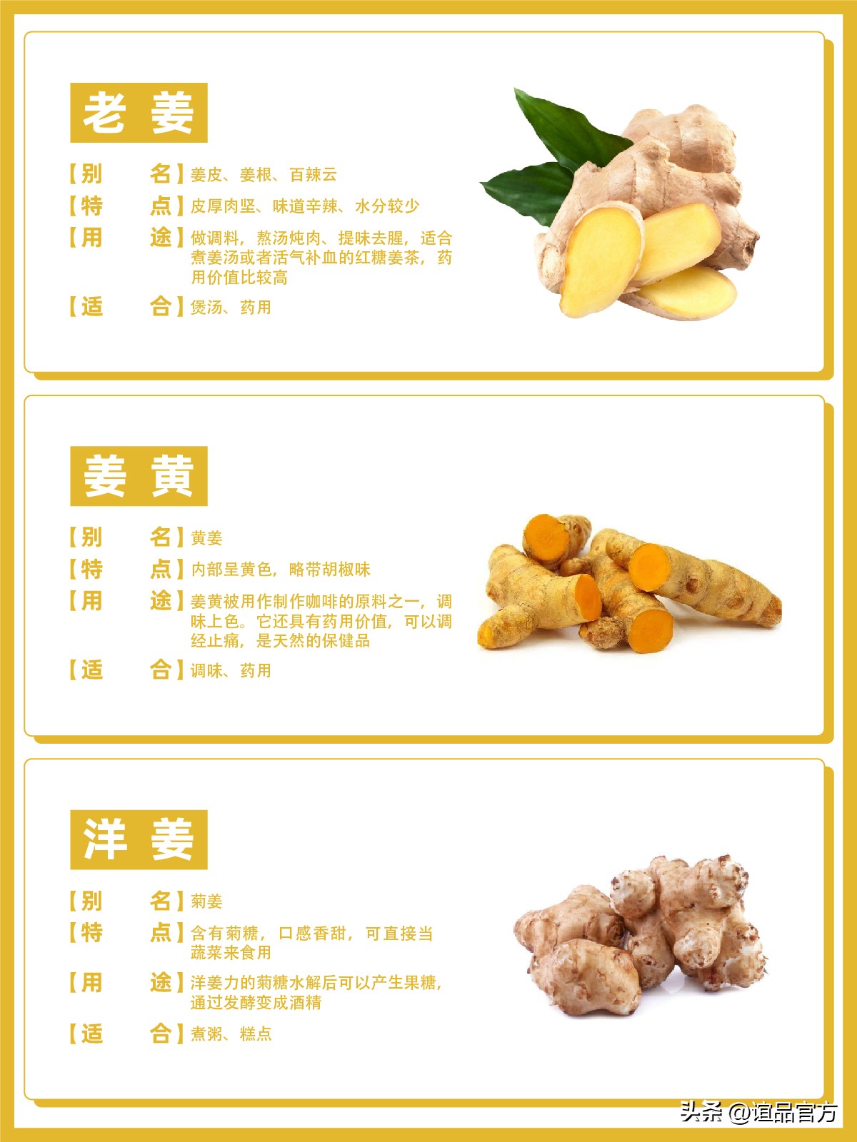 Common types and functions of ginger - iNEWS