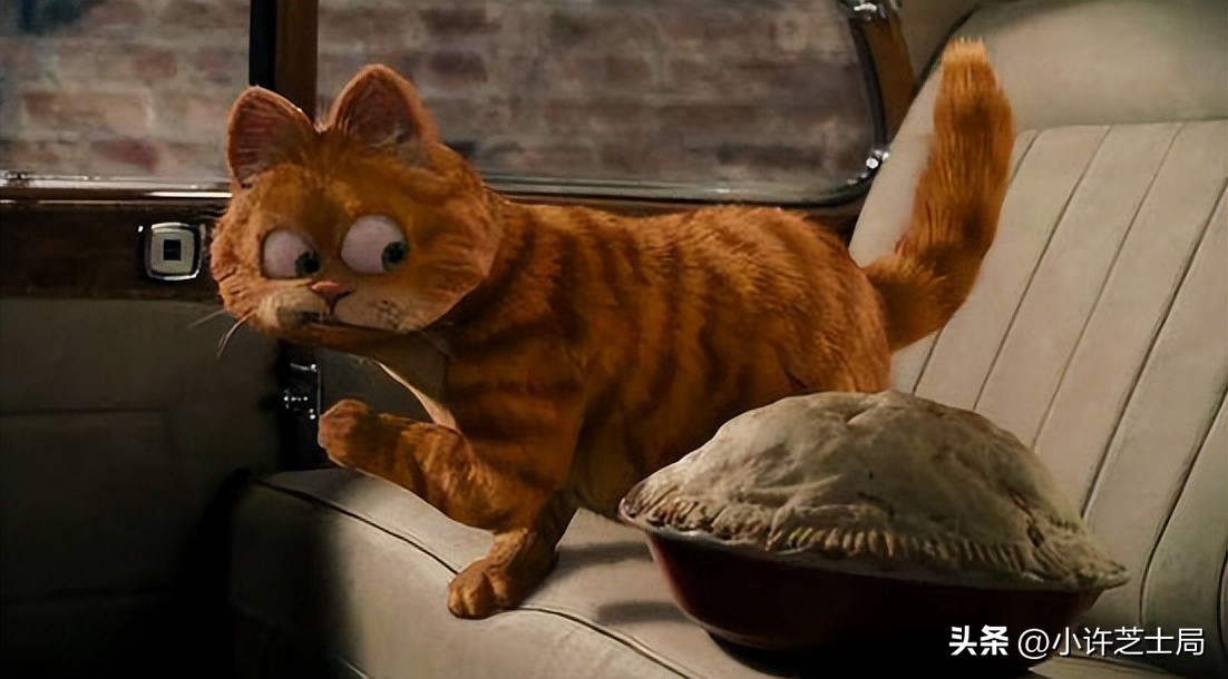 "Garfield" series of funny and funny everyday stories - iMedia