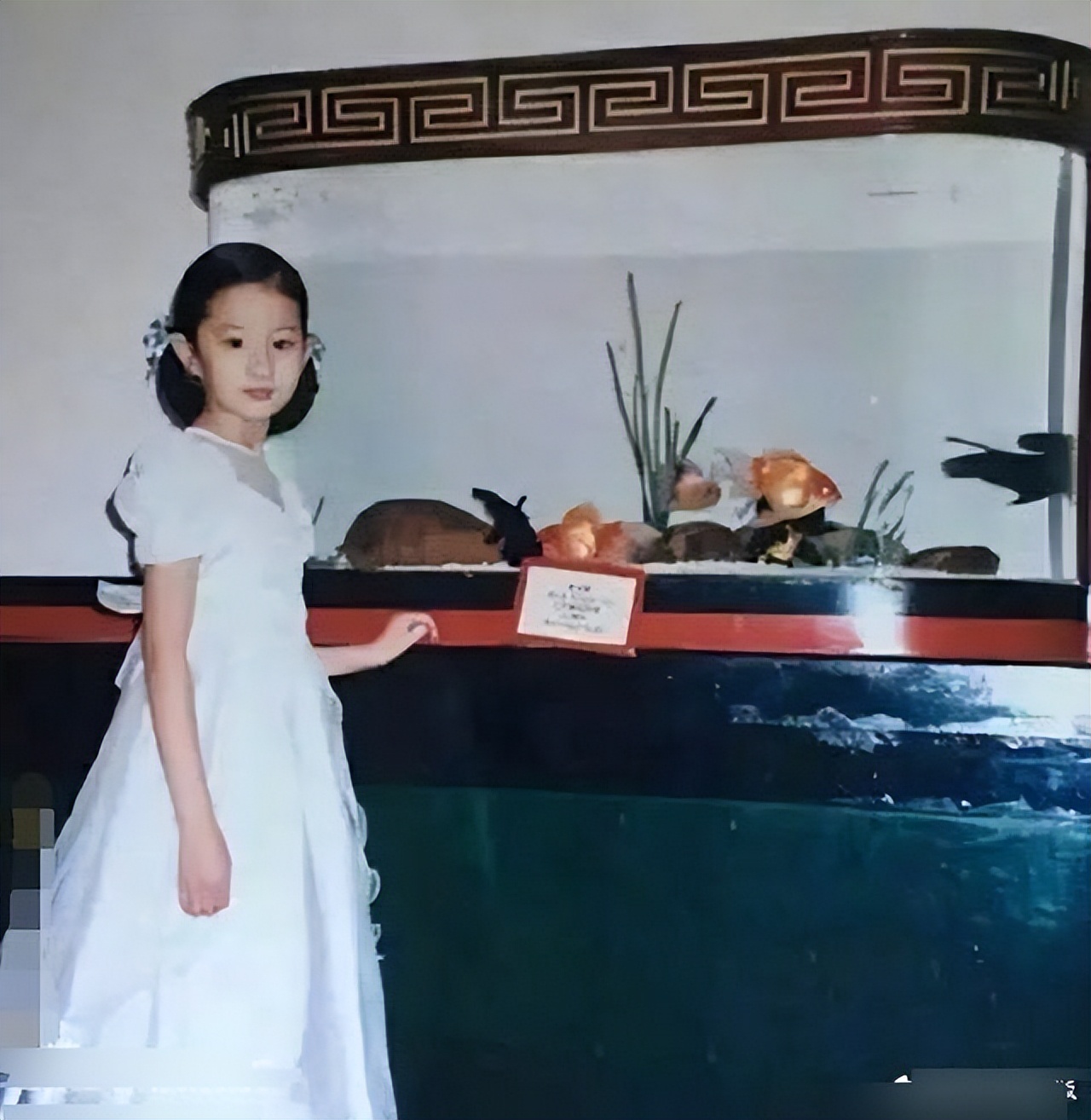 Liu Yifei, formerly known as An Feng, has such an excellent father - iNEWS