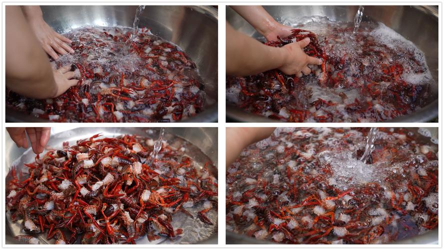 When making crayfish, remember not to just wash them with water. Four ...