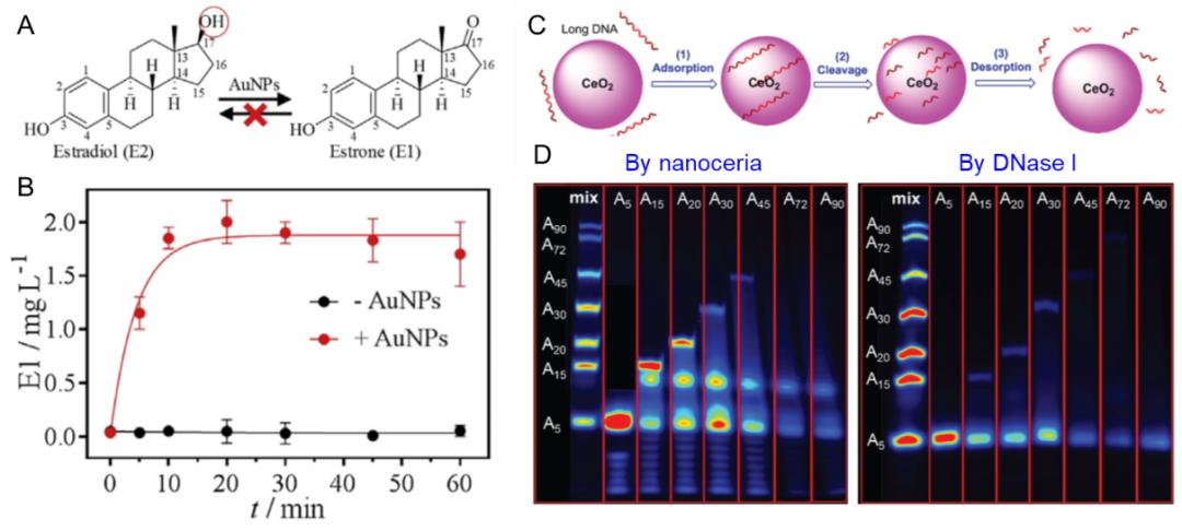 The progress of the work of Professor Liu Juewen's research group in ...
