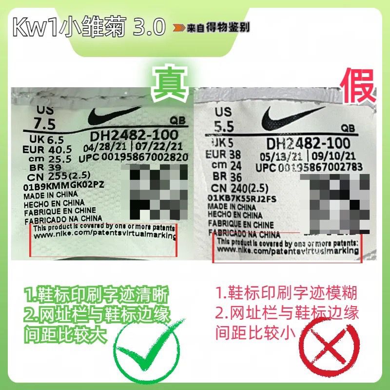 Nikex Daisy Quan Zhilong 3.0 Identification Guide - iMedia