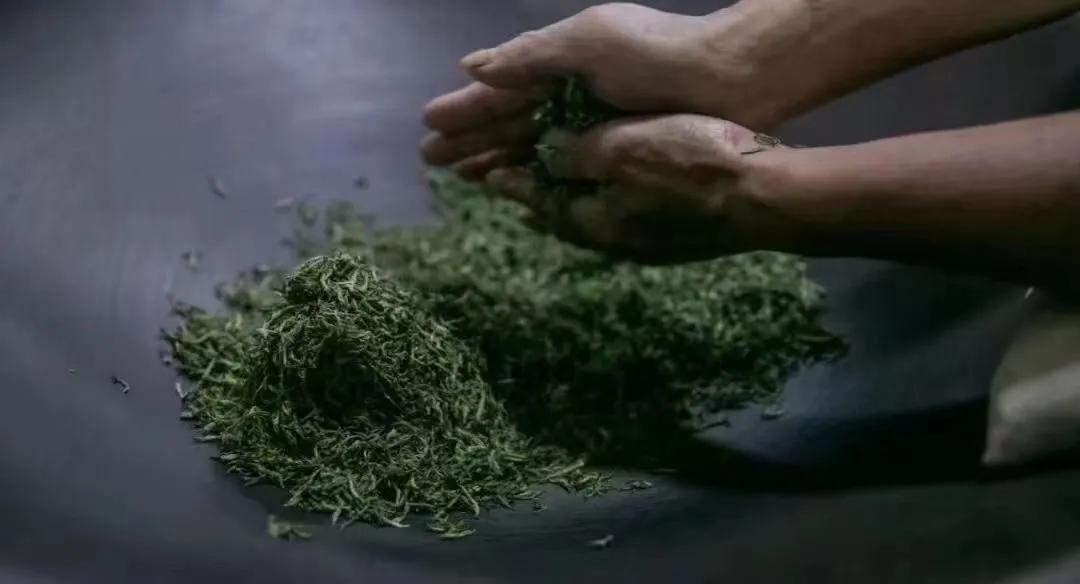 The development history of modern tea - iNEWS