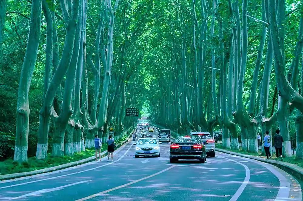 One of the must-see attractions in Nanjing is not only beautiful but ...