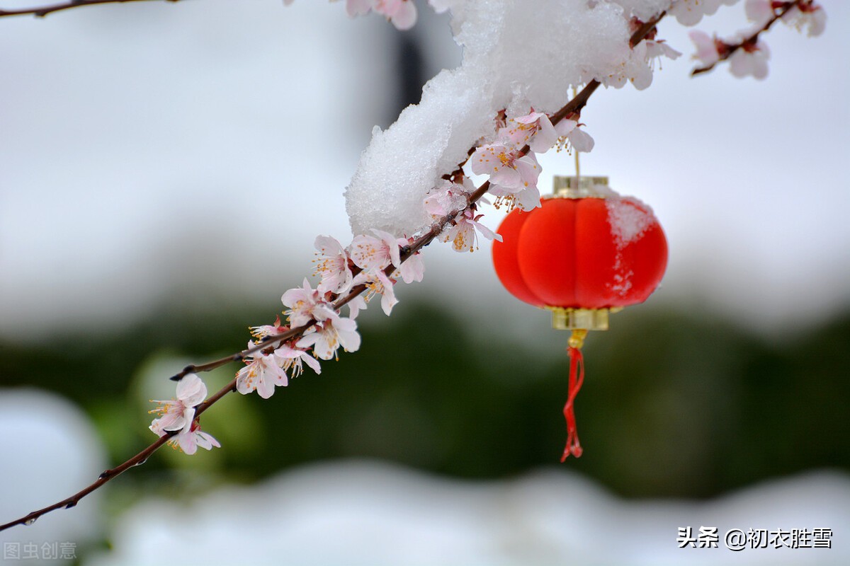Seven Tang Poems of Beautiful Spring Snow - iNEWS