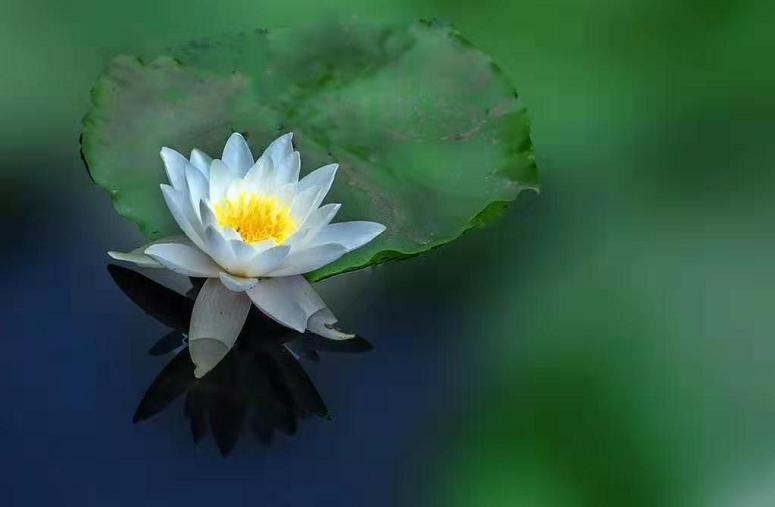 4 reasons why children are unfilial - iNEWS