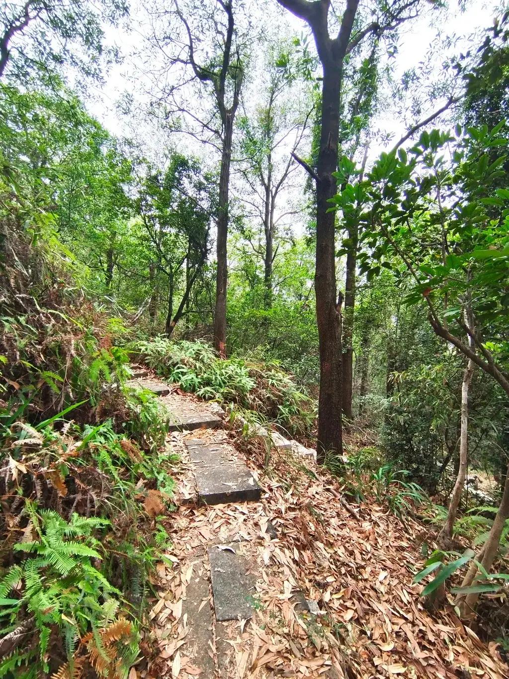 "Visit the tomb of Yu Shisong and his wife Yu Shisong in Baiyun ...