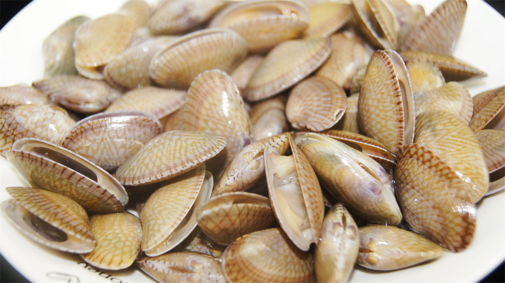 When washing clams, put oil and salt on it!Seaside people teach you a ...