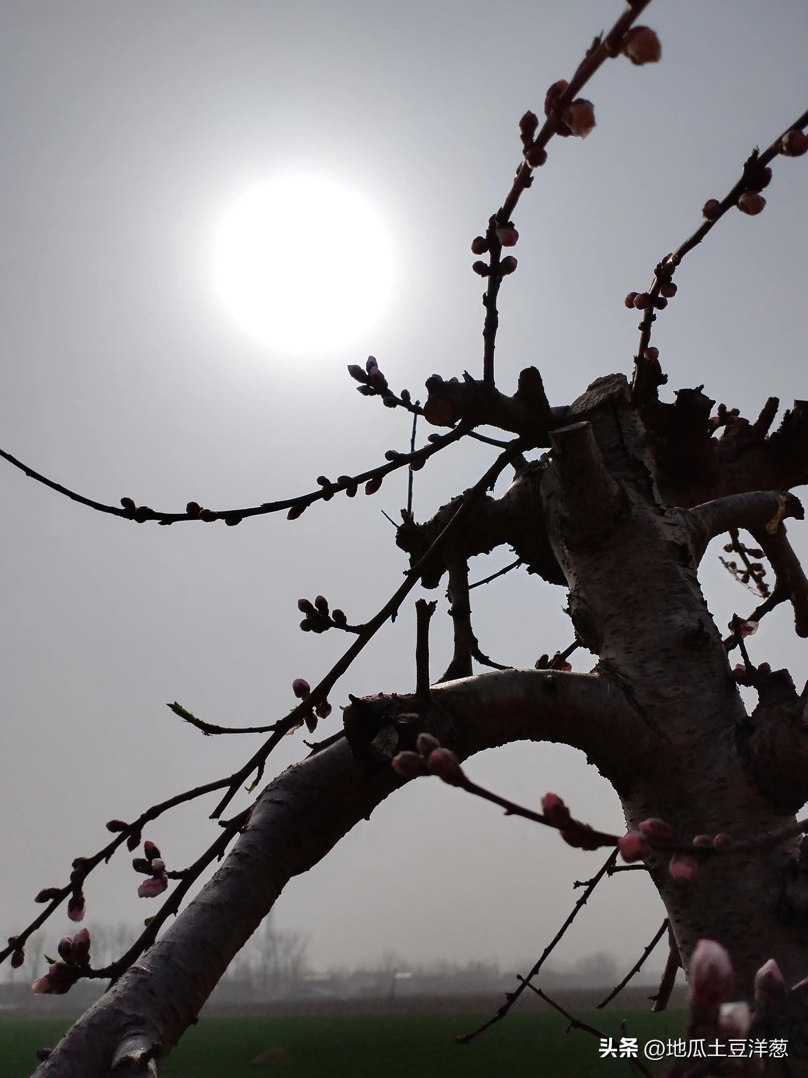 Magic Charge Contributes - iMedia