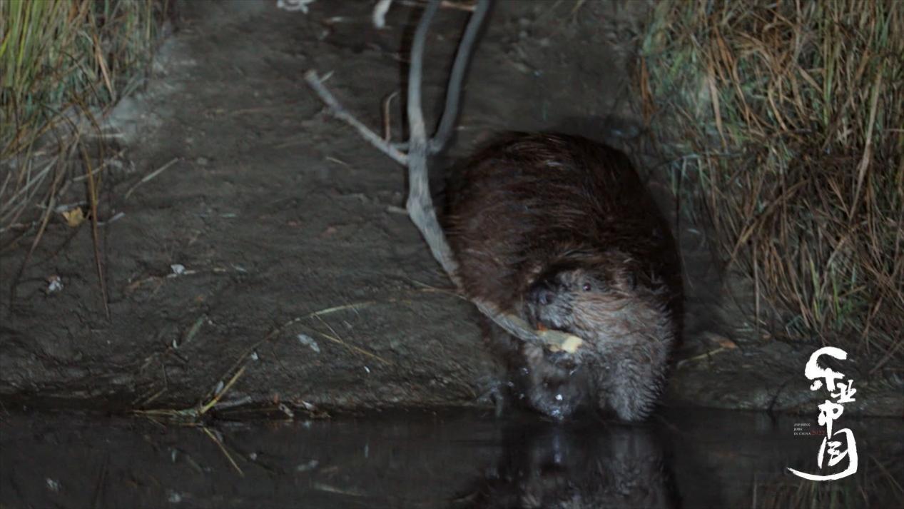 The new generation of musicians Qian Runyu and Zhang Yuling's original ...