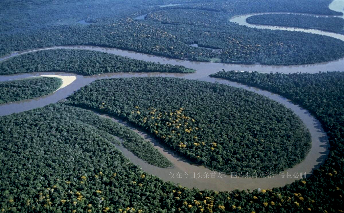 How terrible is the Amazon River, known as the "human forbidden zone ...