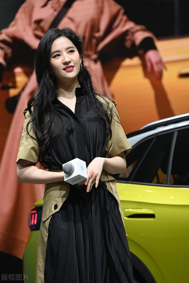 Inventory of several celebrities with prominent families, Liu Yifei ...