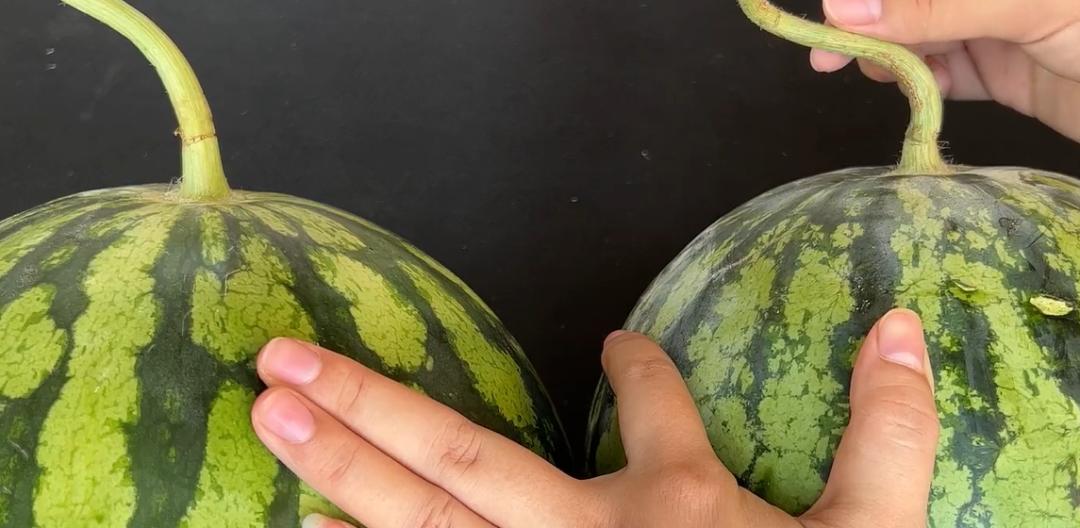 Don't shoot watermelons with your hands anymore, I'll teach you 5 tips ...