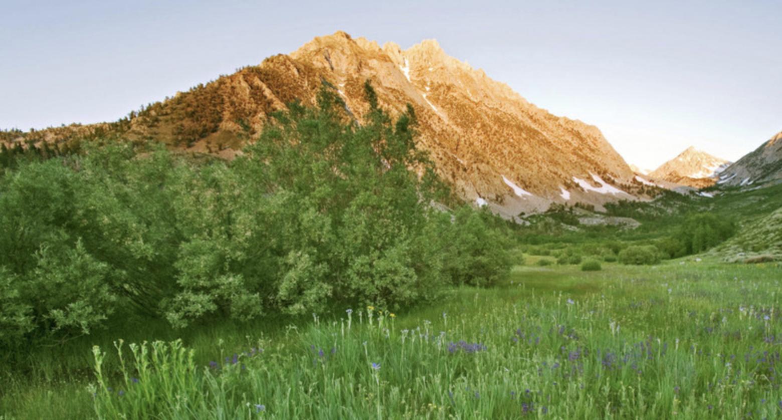 Noble Soul Constellation - iNEWS