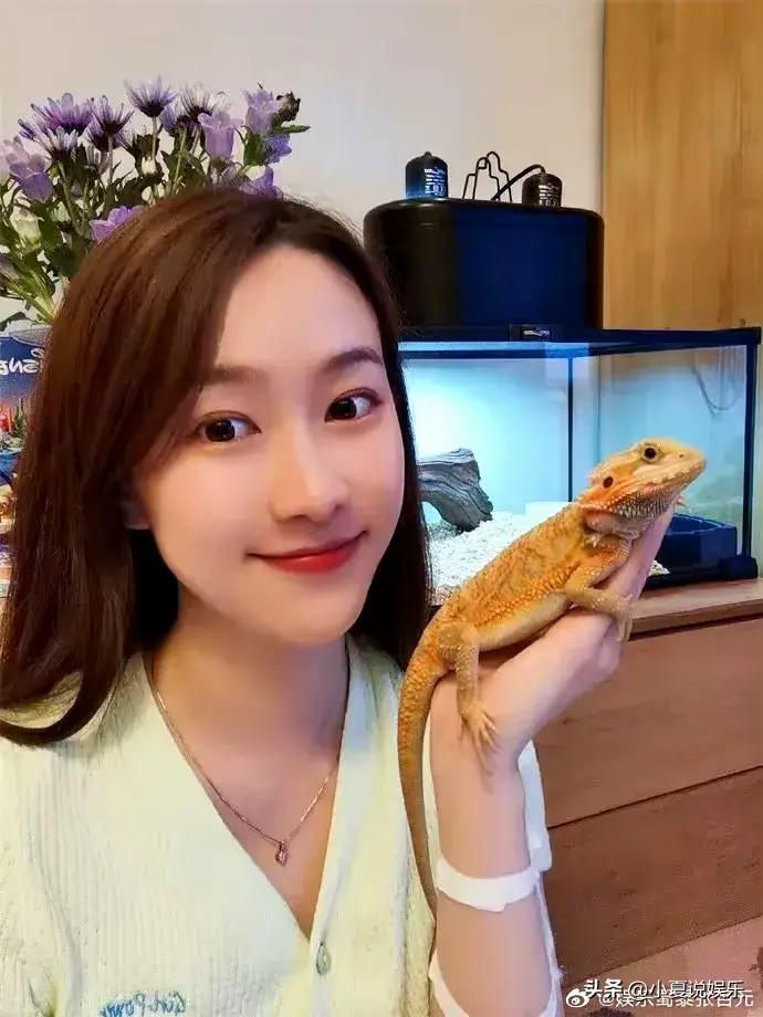 When the Black Magic Fairy meets the leader of the "Lizard" world, I am ...