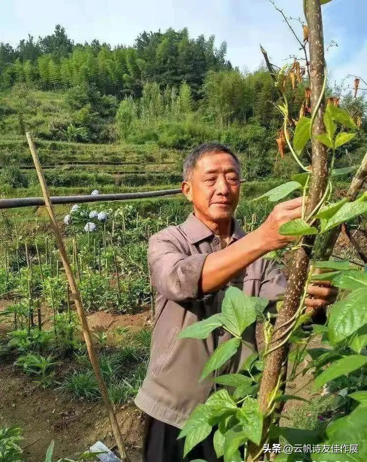 "Jing Chu Famous Master" Rao Huixi: A Miscellaneous Chant of the Zodiac ...