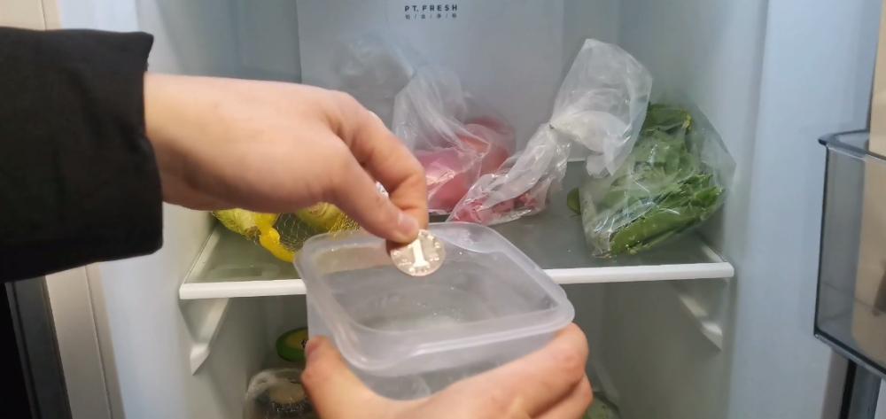 I just realized that putting a coin in the refrigerator can save your ...