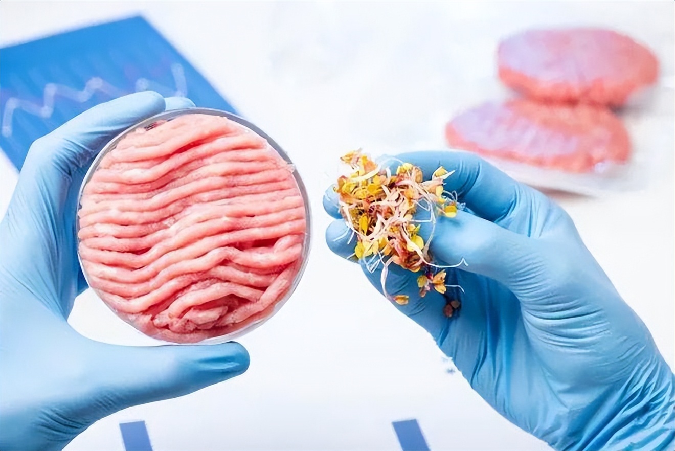 Artificial meat: the principle behind the birth - iMedia