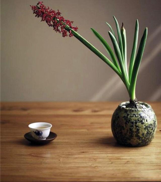 "Su Shu" 5 classic quotations, foresight, so endless - iNEWS