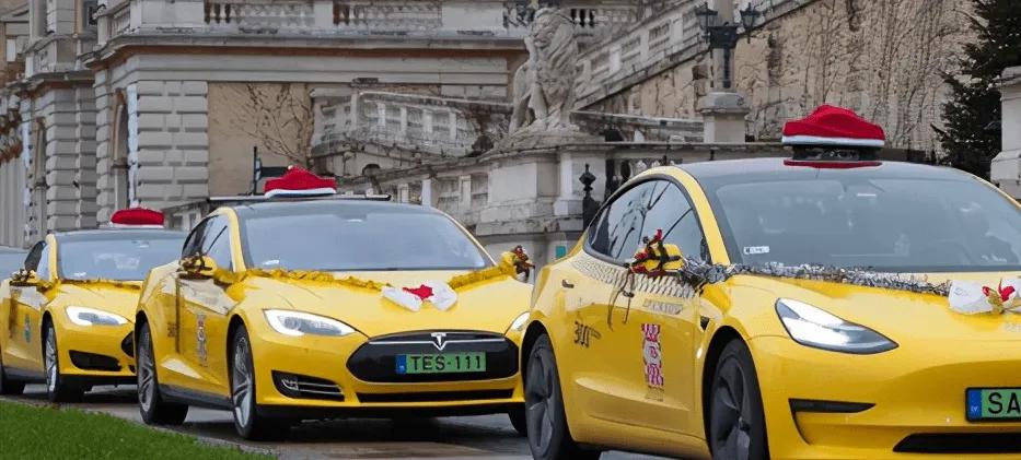 Tesla develops driverless taxis, will produce cheaper models - iNEWS