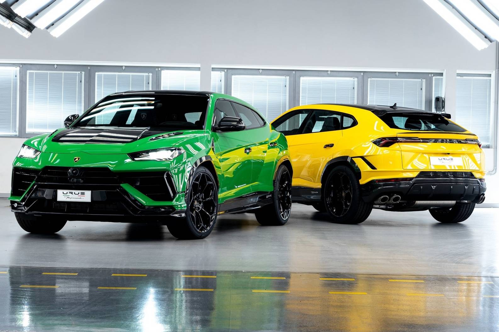 Sangke Grassland "Cow Herding" Tour "Road to the Wilderness" Experience ...