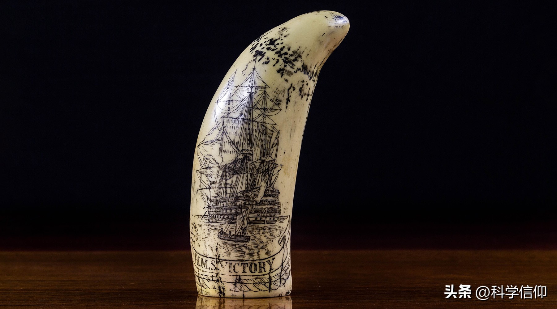 Wait until the elephant dies of old age, then take the ivory? Why must ...