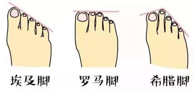 Girls feet are divided into 3 types of Greek feet, Egyptian feet and ...