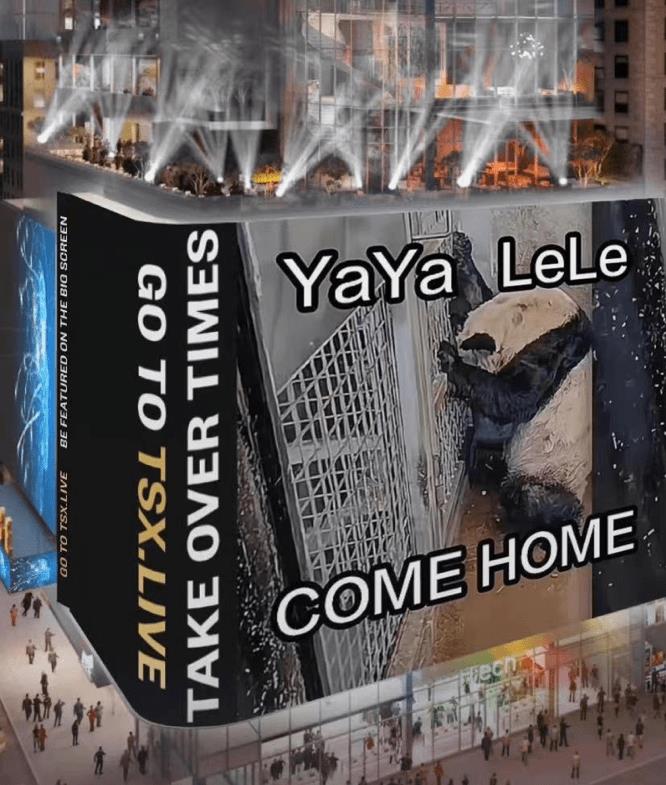 Chinese people in the United States buy a projection screen of Times ...