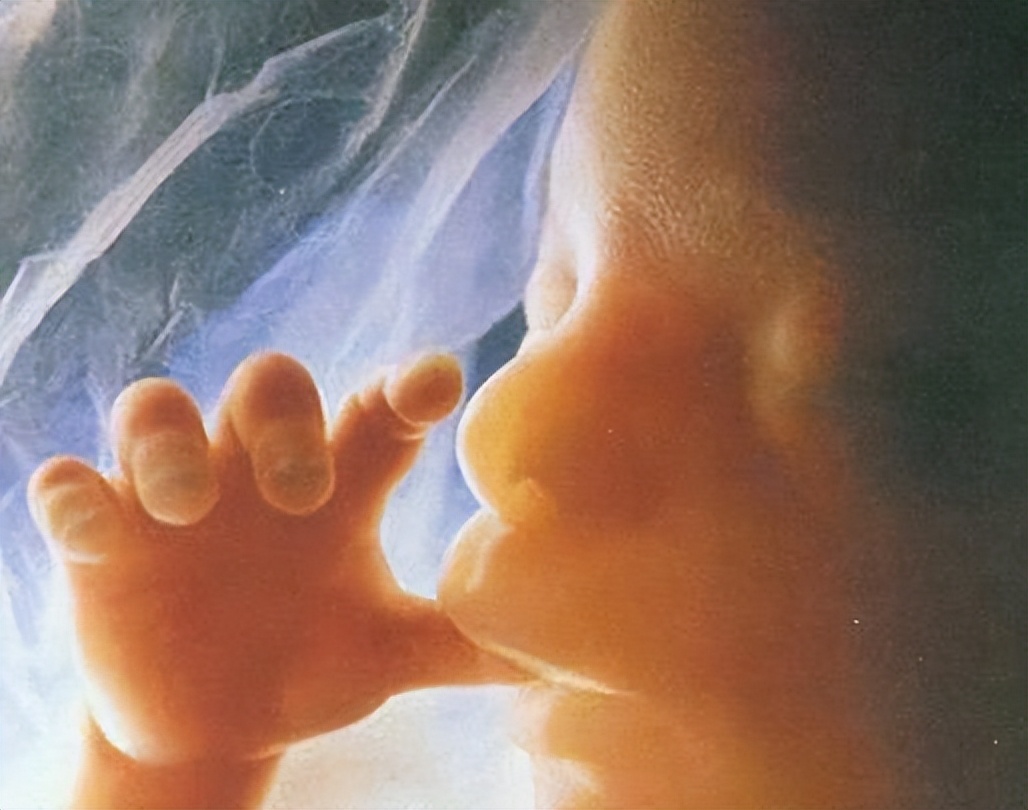 What is fetal movement?The baby is in the mother's womb, in addition to ...