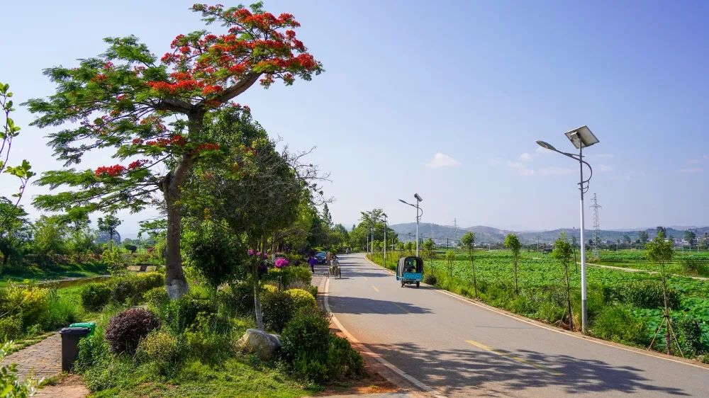 Green and beautiful roads dress up Jianshui scenery - iNEWS