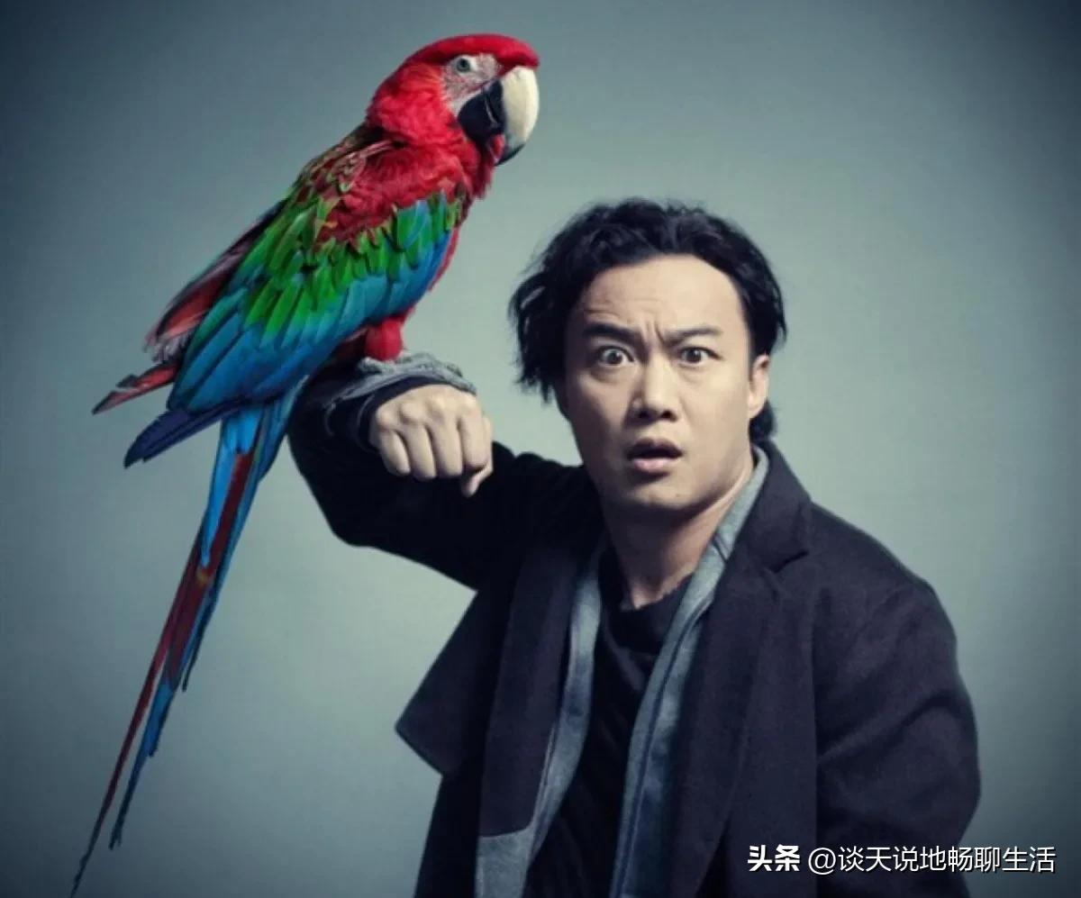 Why many people like music geek singer Eason Chan - iMedia