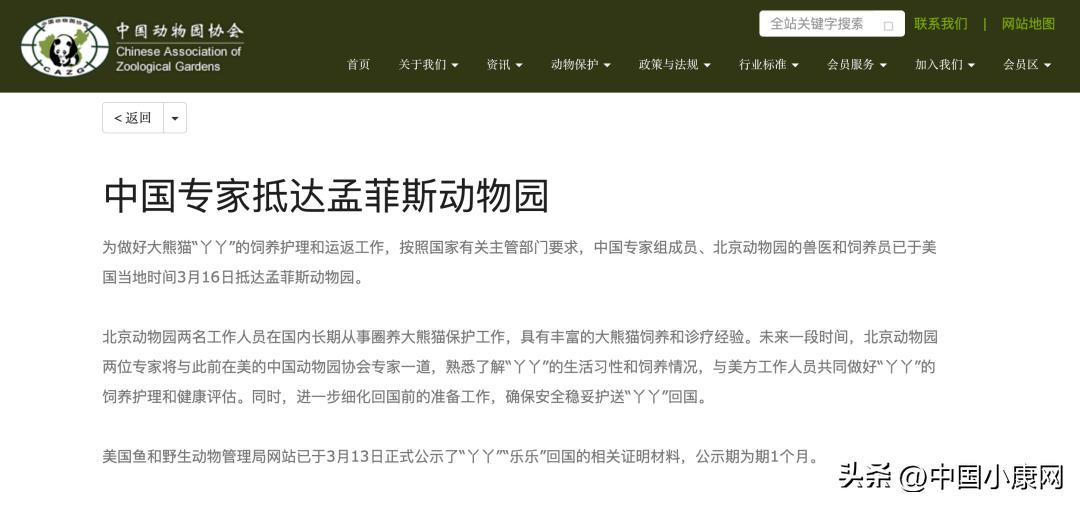 New progress of "Yaya" returning to China: she will go to Shanghai for ...