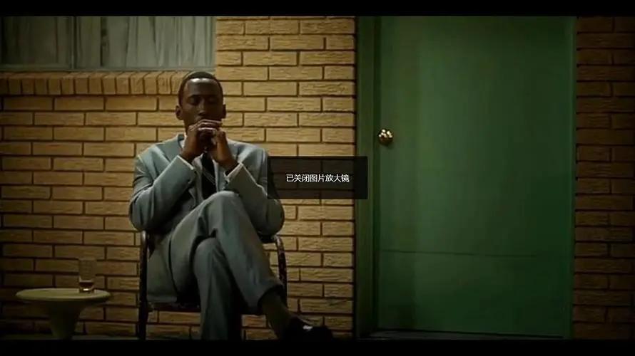 One car, two people, "Green Book" is an Oscar masterpiece that touched ...