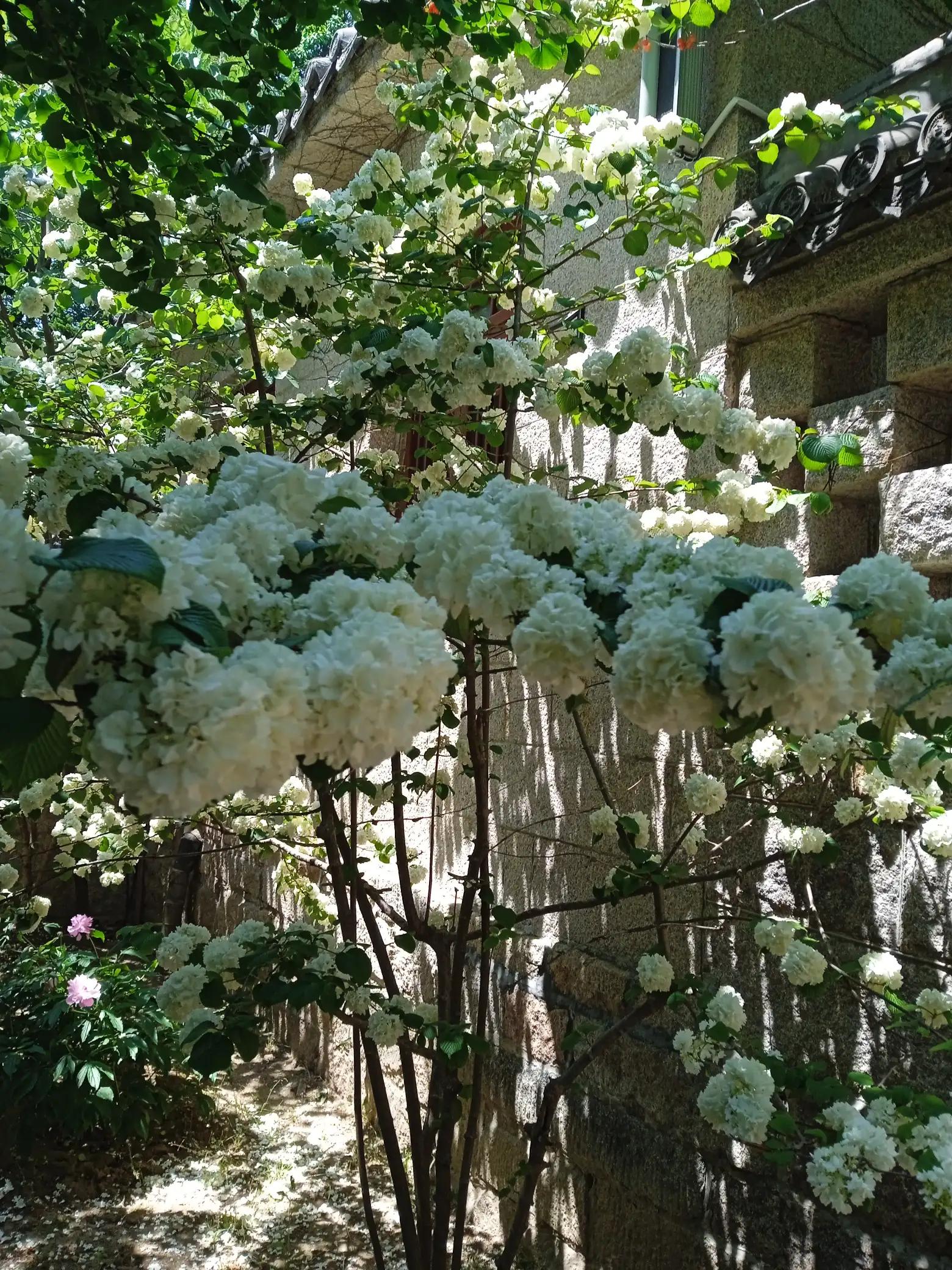 Tips for Answering Questions - iNEWS