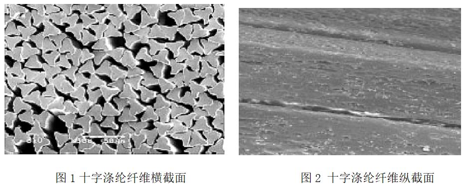 Cross polyester fiber, find out! - iNEWS