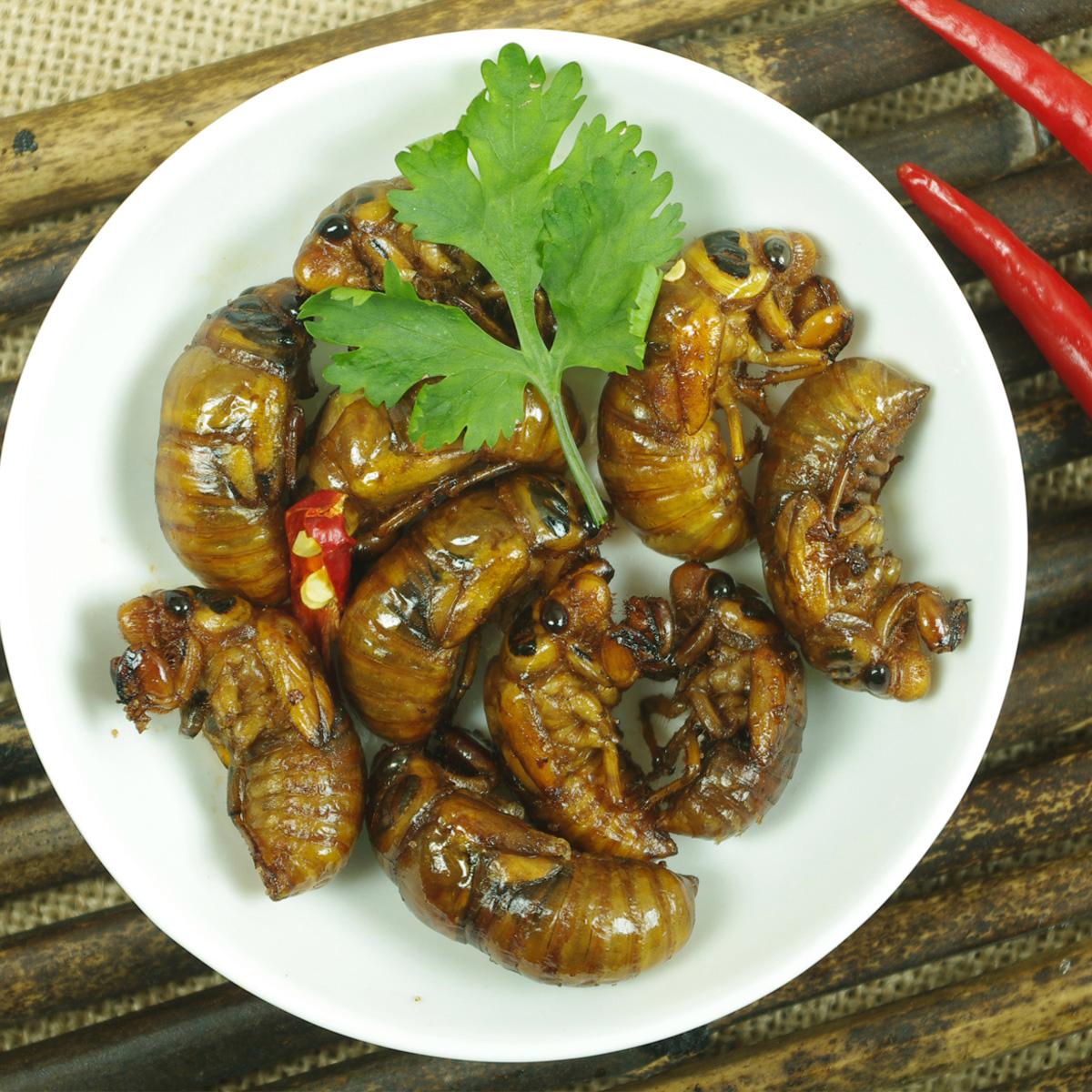 Tik Tok Golden Cicada, how does Cicada Monkey confess? What materials ...