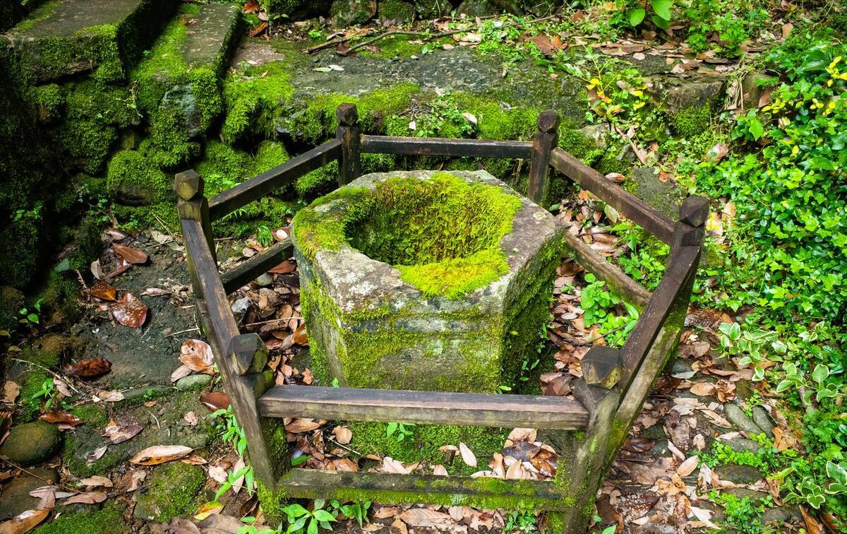 Microscopic Treasures in Ancient Tombs: The Surprising Functions of ...