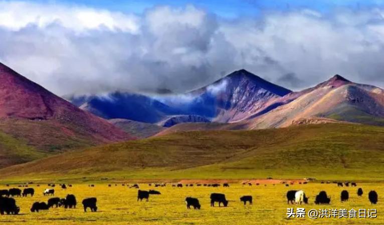 3 unlucky wines in Tibet, the wines are obviously of good quality, but ...