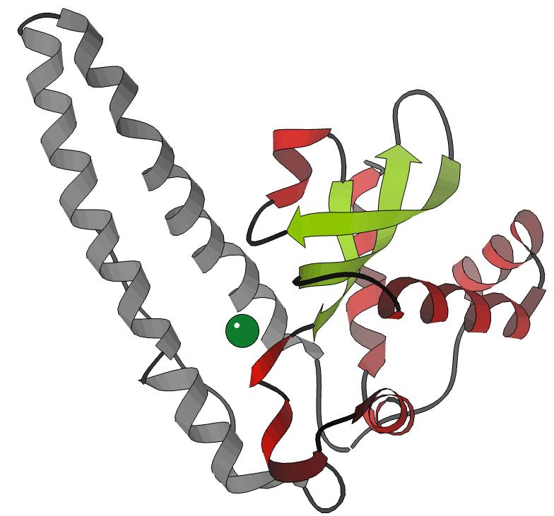 [Popular Science] Application of manganese-type superoxide dismutase ...