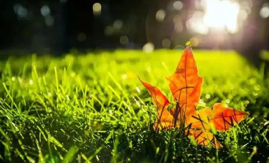 There are bandits and gentlemen, be cautious in the end as in the ...