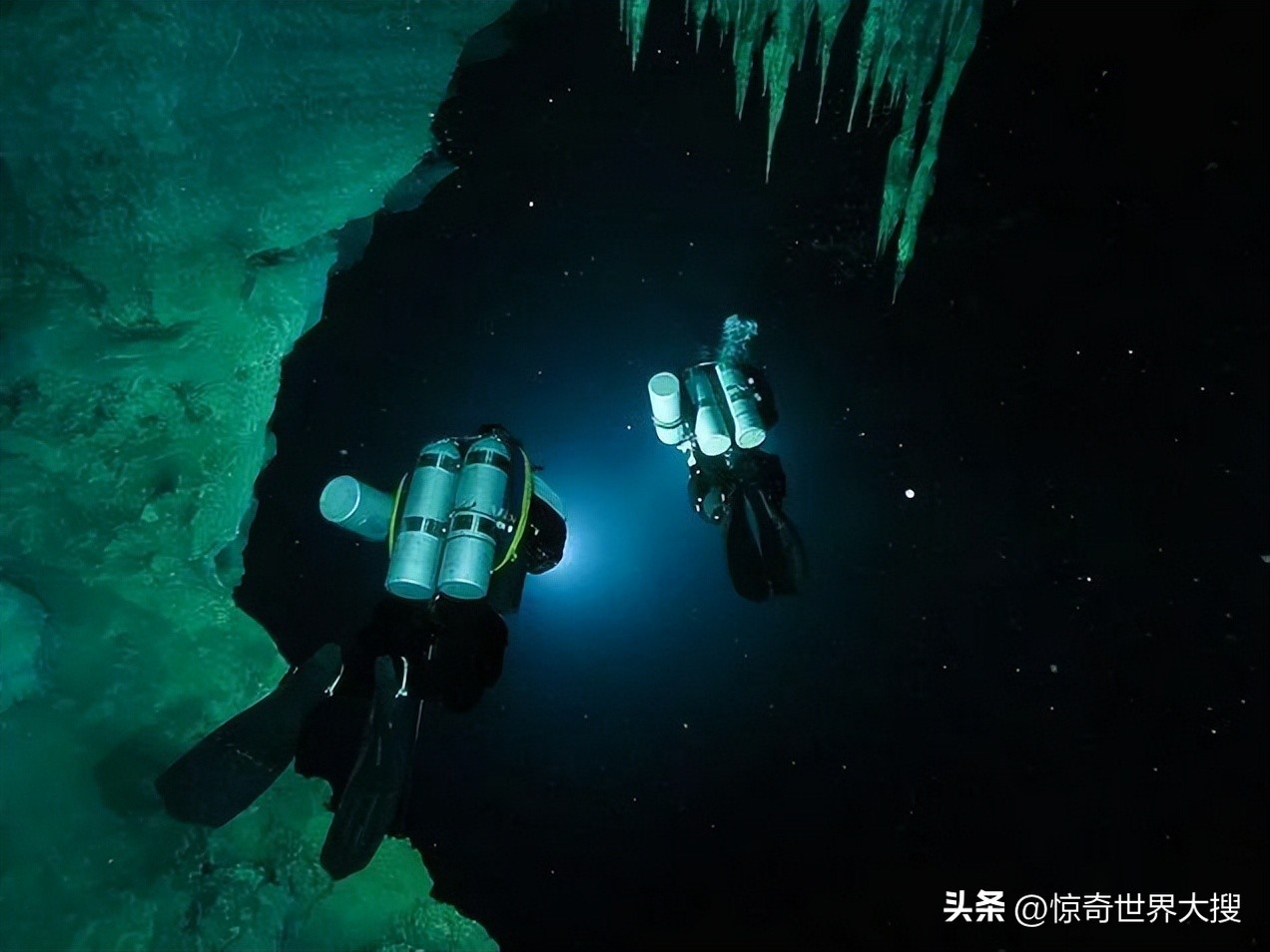 25 frightening photos to test if you have a deep-sea phobia - iMedia